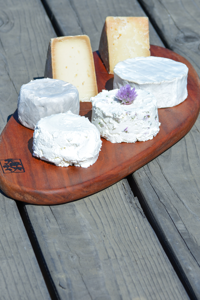 Farmstead Cheese Sampler – Pennyroyal Farm